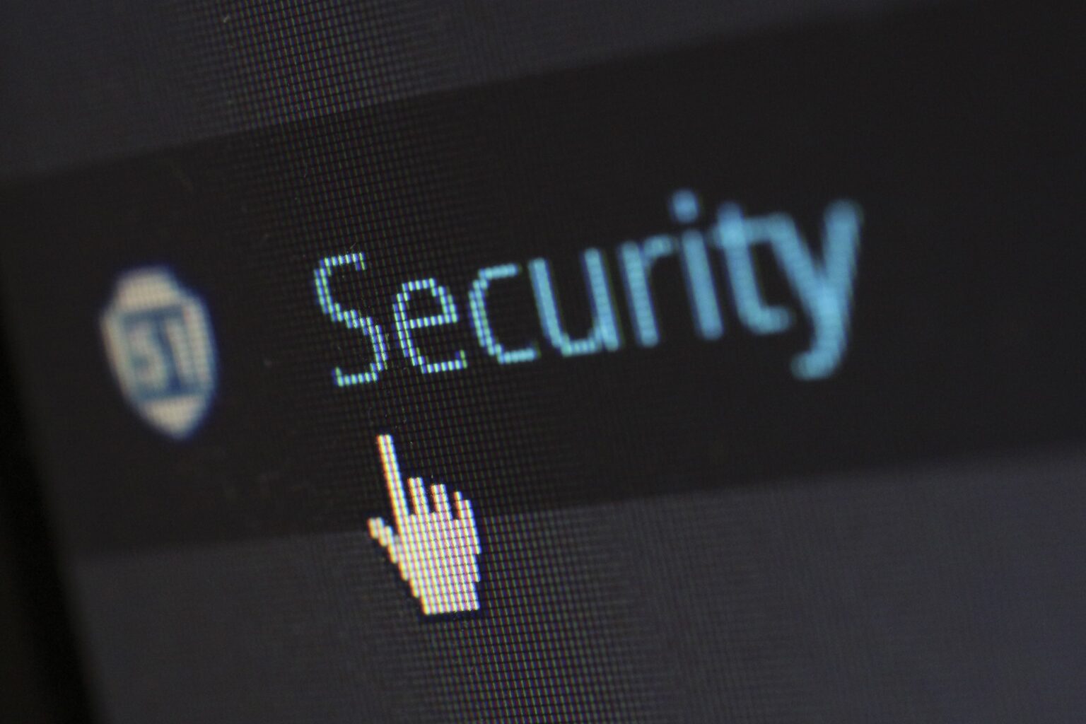 Executive Protection Specialist Resume Examples | Best Resume Samples